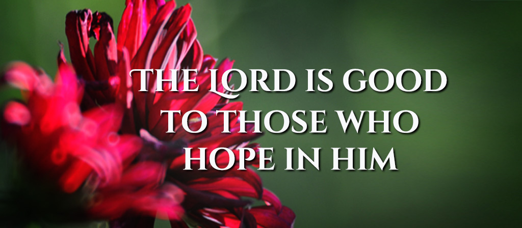 Clonmore Parish – Our Lady of the Wayside, St. Mary's and St. Finiain's ...